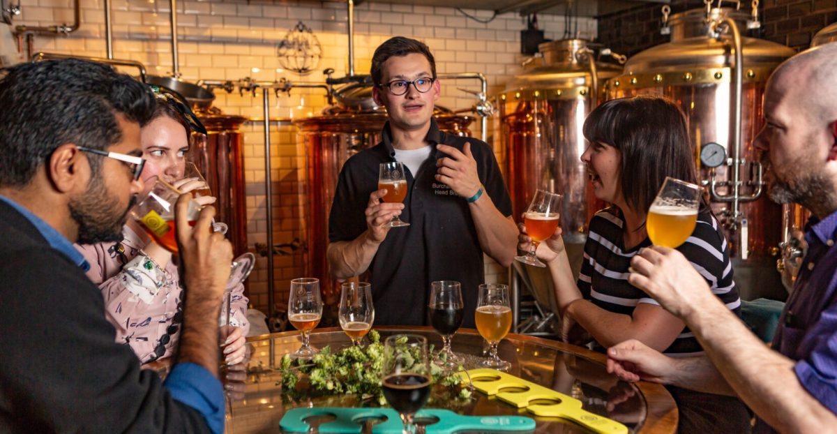 Craft Beer Education: Workshops and Tastings at Ball Brewing